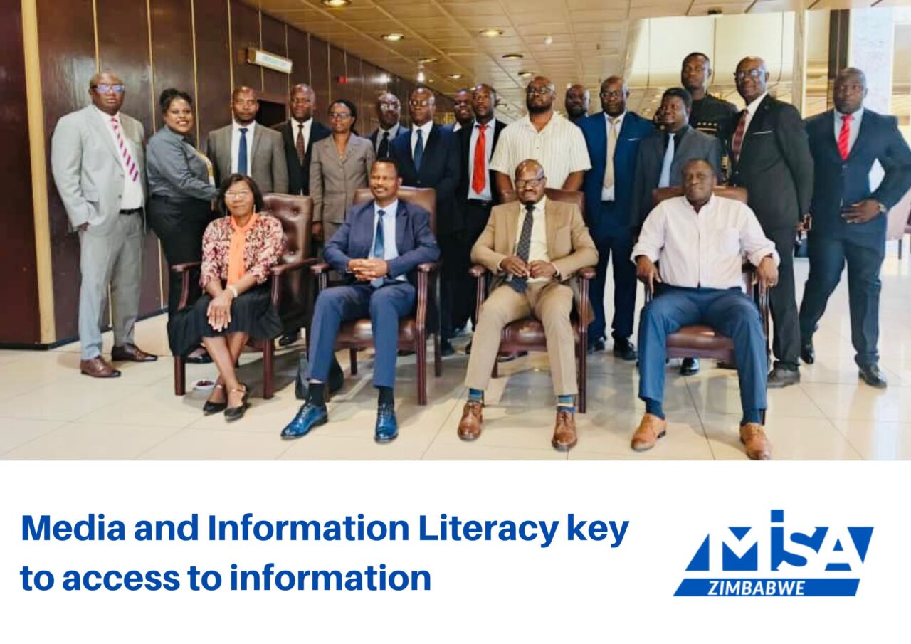 Media and Information Literacy key to access to information | MISA Zimbabwe